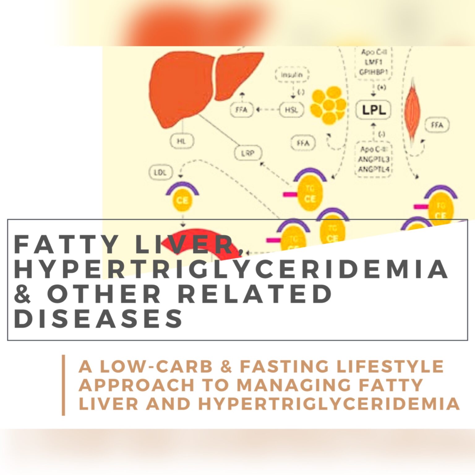 Facebook Lifetime Access: Fatty Liver & Hypertriglyceridemia LCF ...
